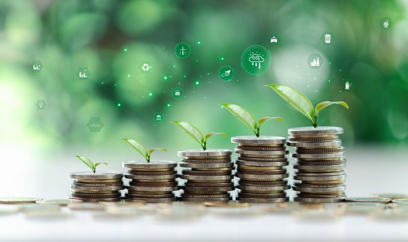 New Reflection Paper explores pathways to scale up innovative ...