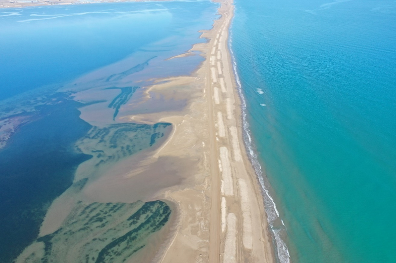 Nature-based Coastal Restoration holistically contributing to climate ...